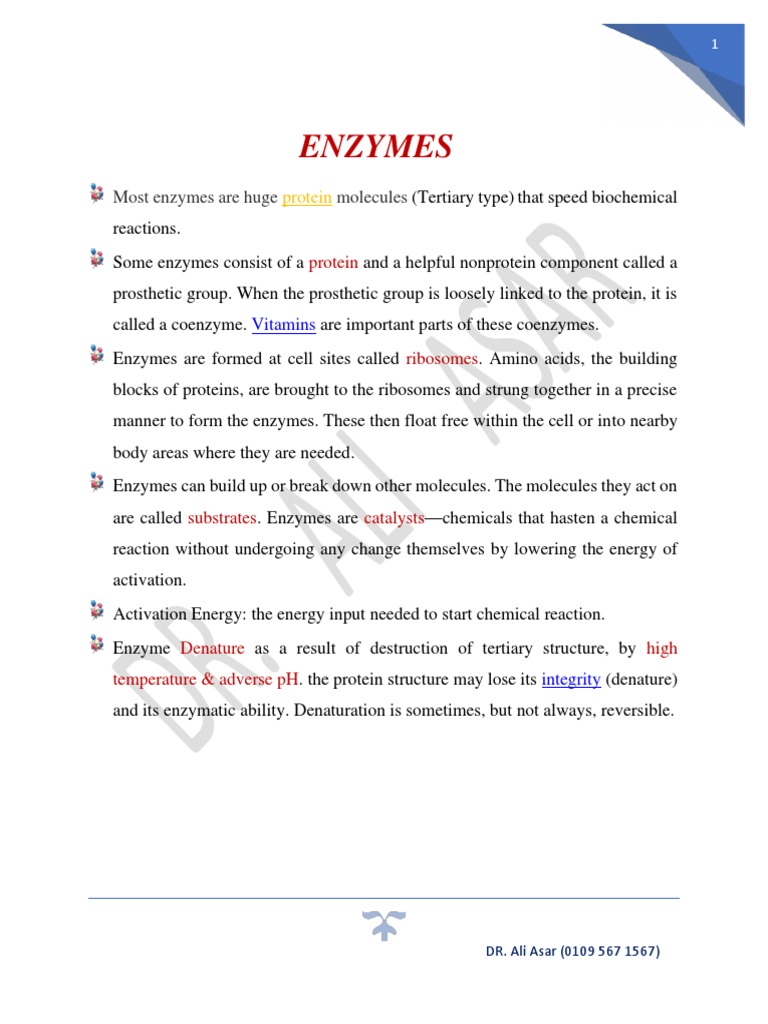 Enzymes Material PDF | PDF | Enzyme | Cofactor (Biochemistry)