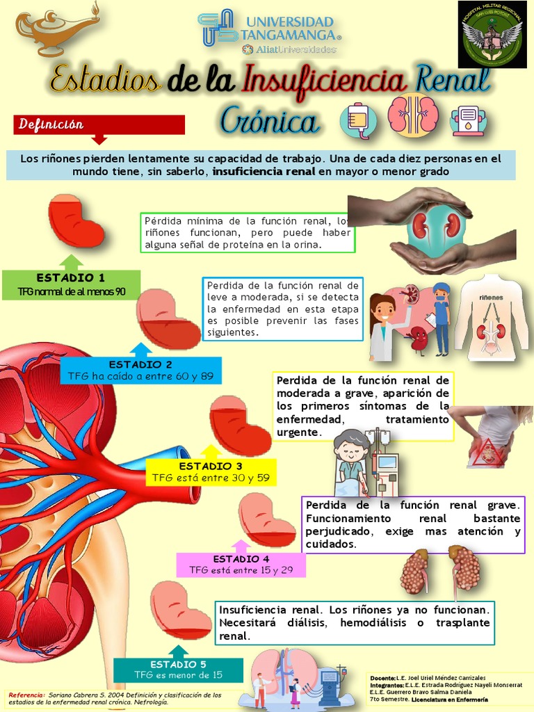 La pérdida gradual de la función renal y sus diferentes estadios | PDF ...