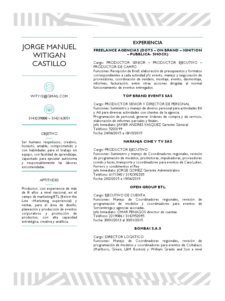 CV Jorge Manuel Witigan Castillo | PDF | Microsoft Excel | Business