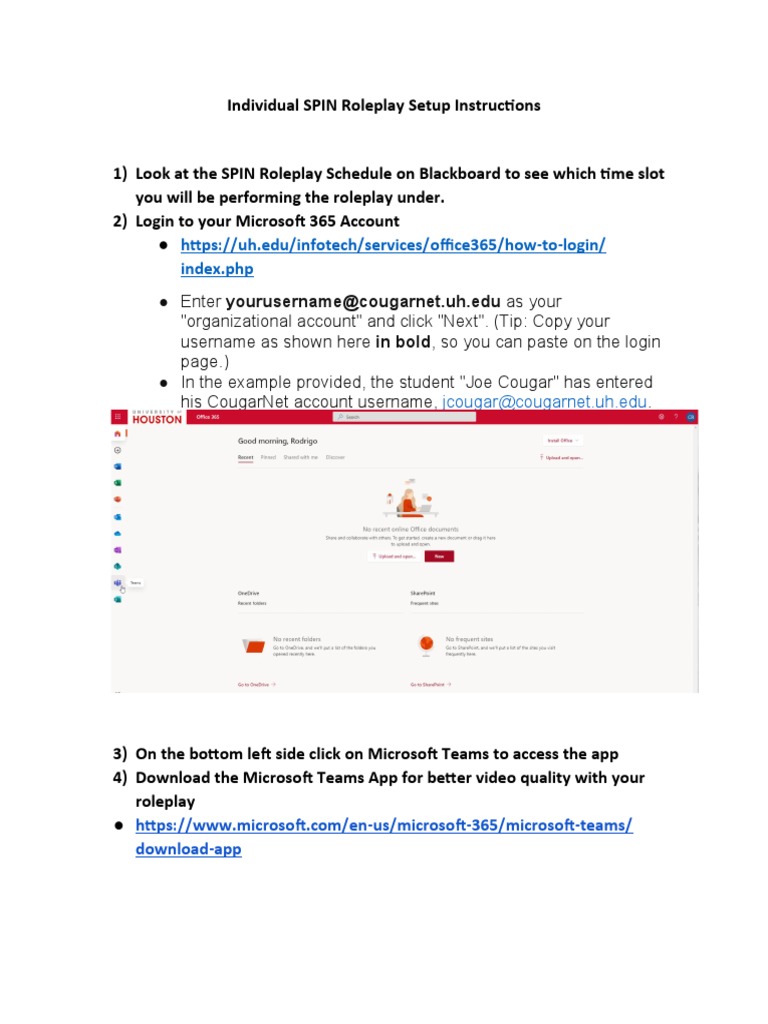 Individual SPIN Roleplay Setup Instructions | PDF