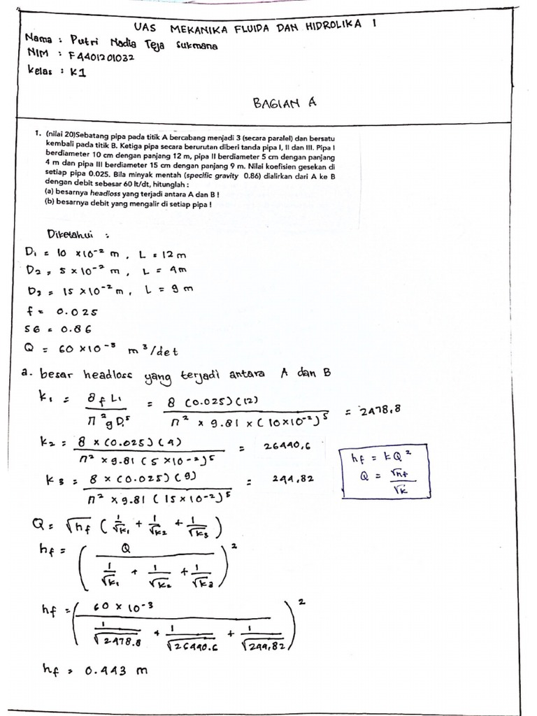 Putri Nadia Teja - F4401201032 - Uas MFH 202 | PDF