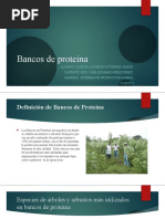 Control Etológico | PDF | Feromona | Insectos