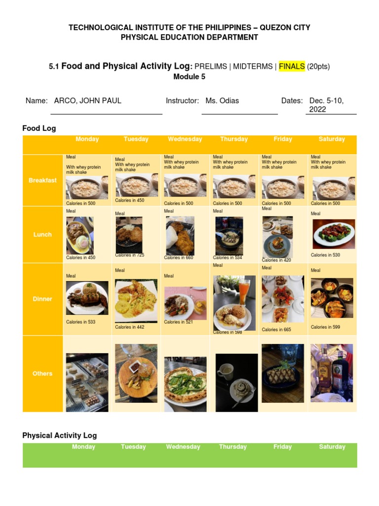 WPAL 5 - Daily Food and Physical Activity Log-1 - 927584800 | PDF ...