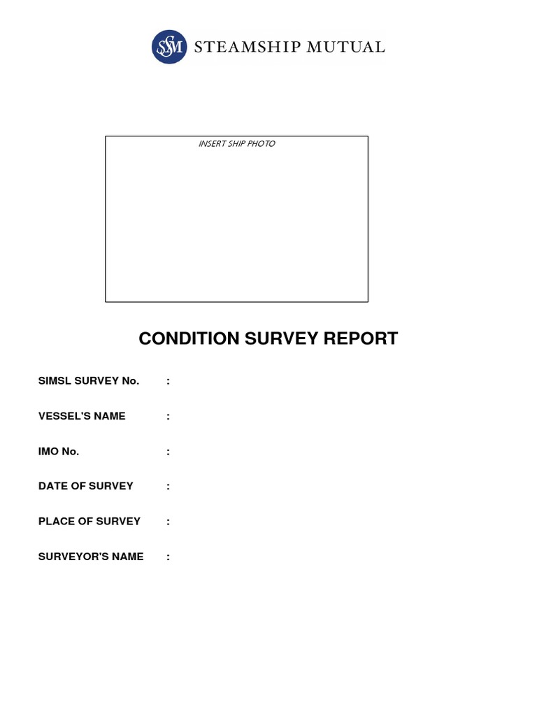 Full Condition Survey Report | PDF | Computer Security | Security