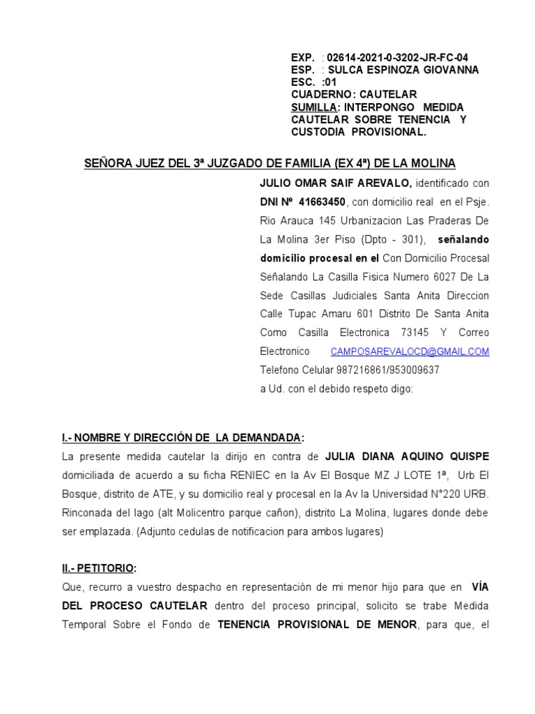 Medida Cautelar Tenencia Provisional 08F | PDF | Derecho