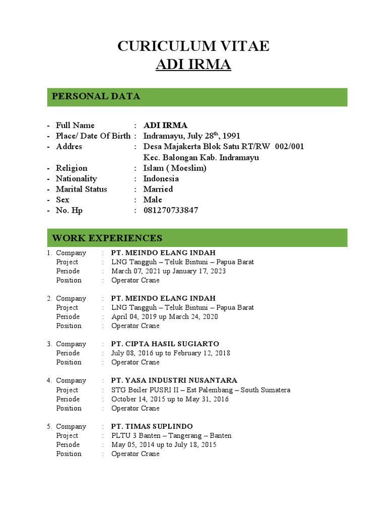 Curiculum Vitae | PDF
