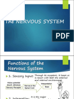 ICSE Class 10 Biology | PDF | Central Nervous System | Nervous System