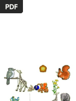 Jenis-Jenis Buruj Dan Keterangannya | PDF