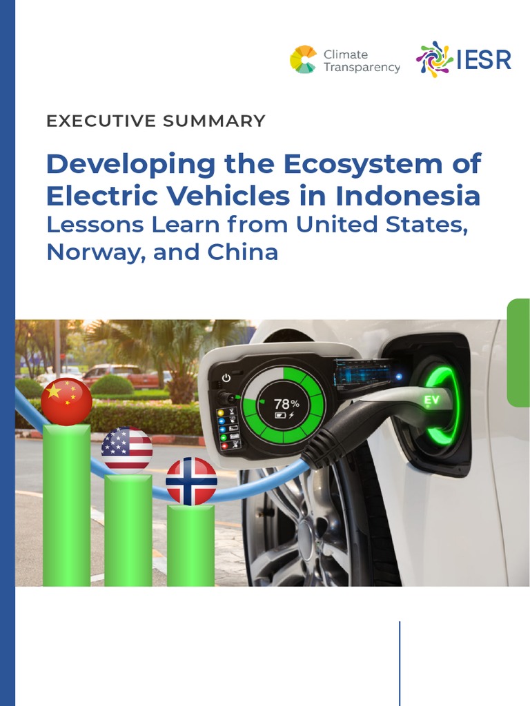 Executive Summary | PDF | Electric Vehicle | Electric Car