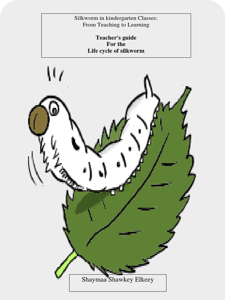 Silkworm In Kindergarten Classes From Teaching To Learning Pdf Pupa