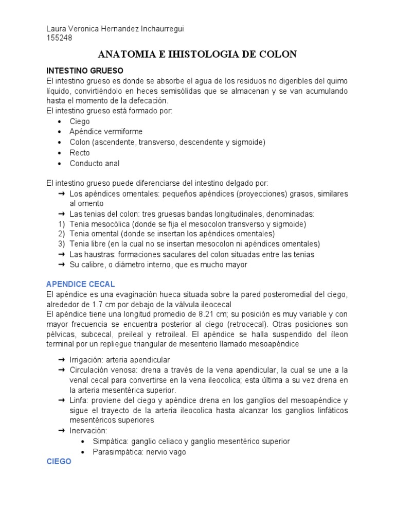 Anatomia e Histologia de Colon 2 | PDF | Intestino grueso | Abdomen