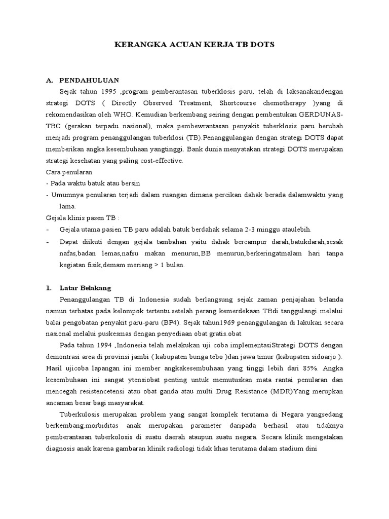 Kerangka Acuan Program TB DOTS | PDF