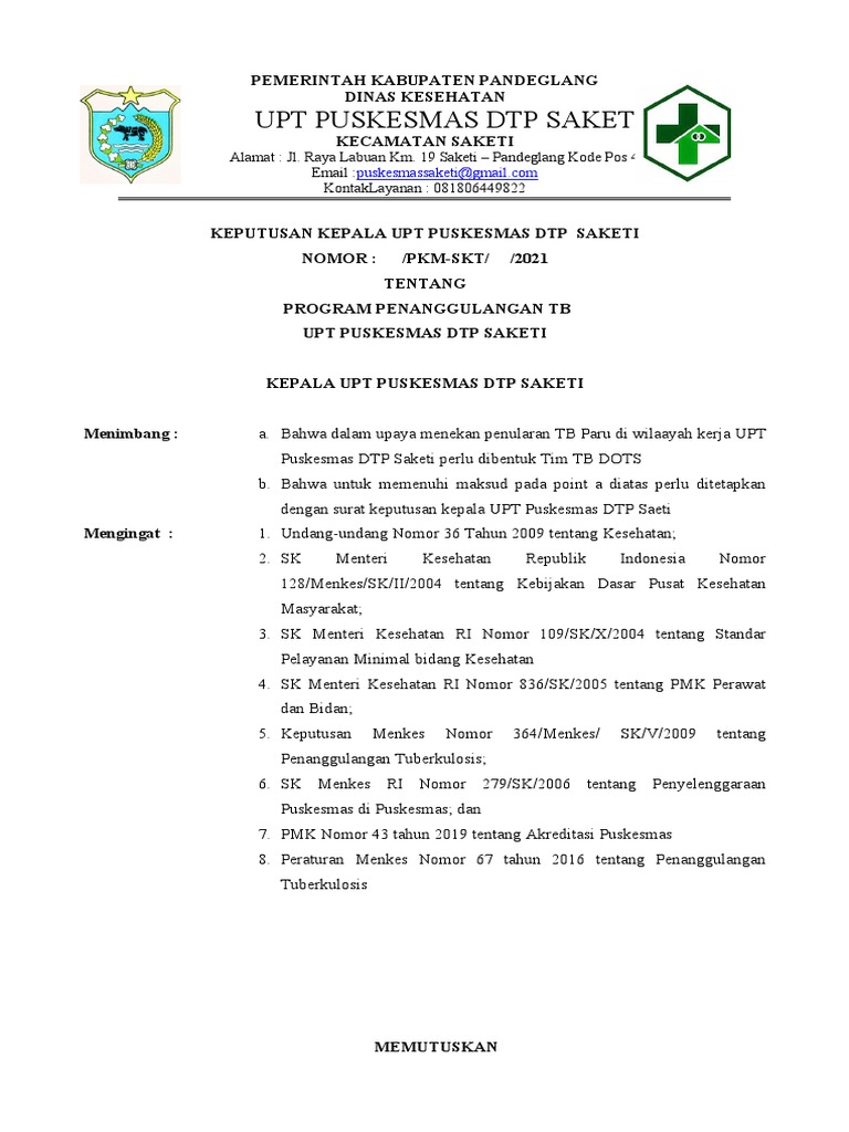 SK Program Penanggulangan TB | PDF