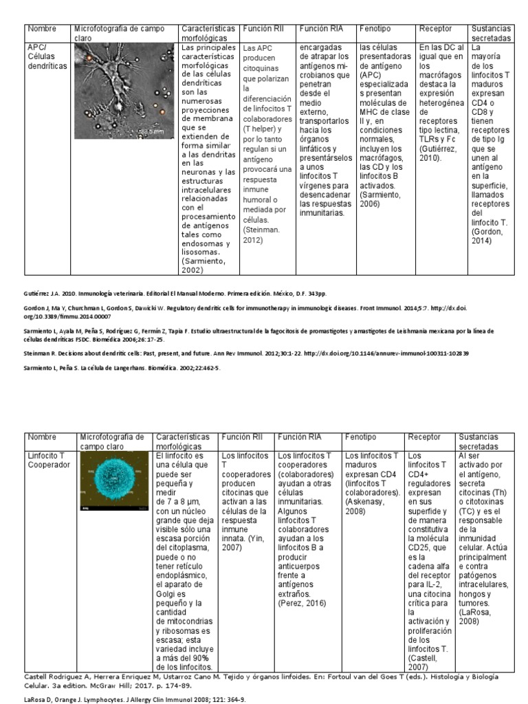 Inmuno | PDF | Linfocitos | Célula T
