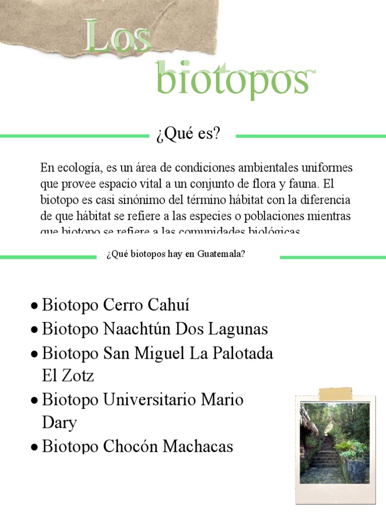 Biotopos en Guatemala: Tipos y Definición | PDF