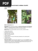 Lubigan Plant: Benefits and Uses | PDF | Medicine | Plant Diseases