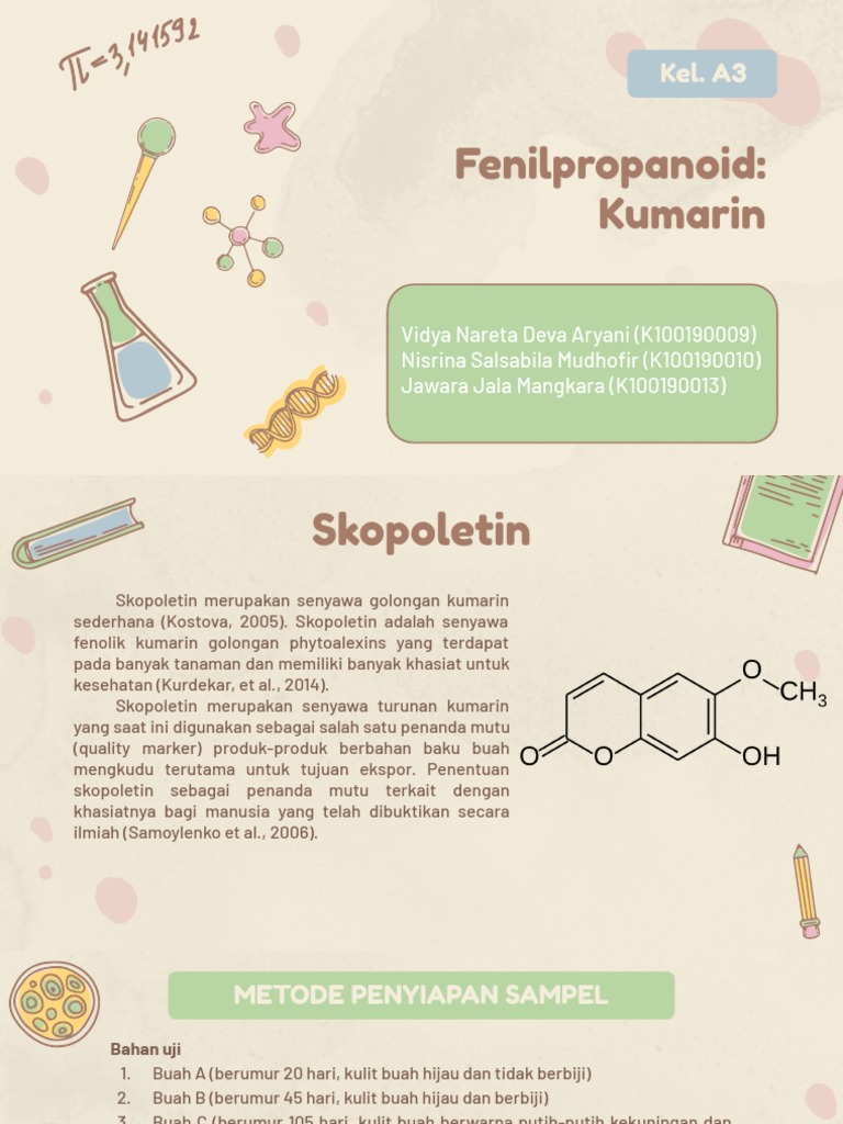 A3 Fenilpropanoid-Kumarin Revisi | PDF