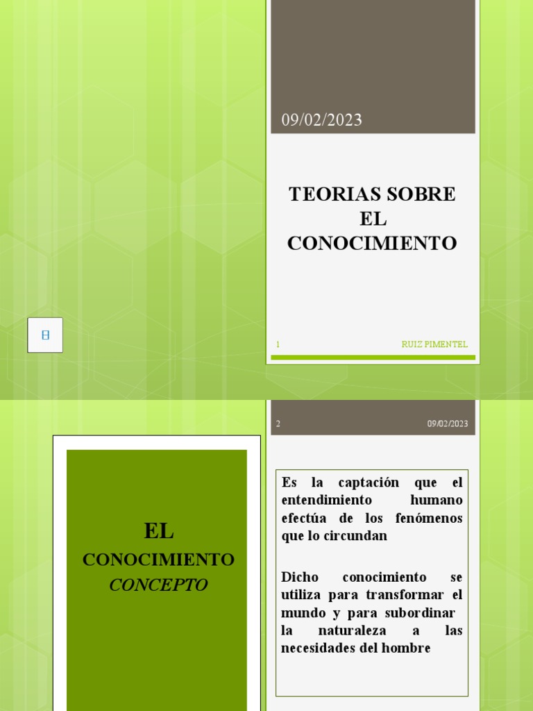 Teorías y Niveles del Conocimiento | PDF | Conocimiento | Realismo filosófico