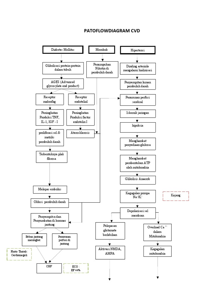 Patoflowdiagram CVD | PDF