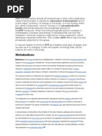 Chill Protocol for Managing Dog Anxiety | PDF | Anesthesia | Medical ...