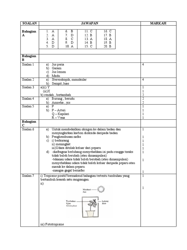 Skema Jawapan PPT Sains T3 2022 | PDF