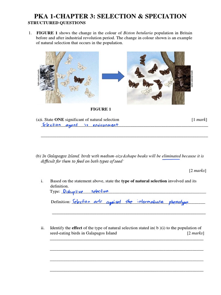 Pka 1-Chapter 3: Selection & Speciation: Structured Questions | PDF ...