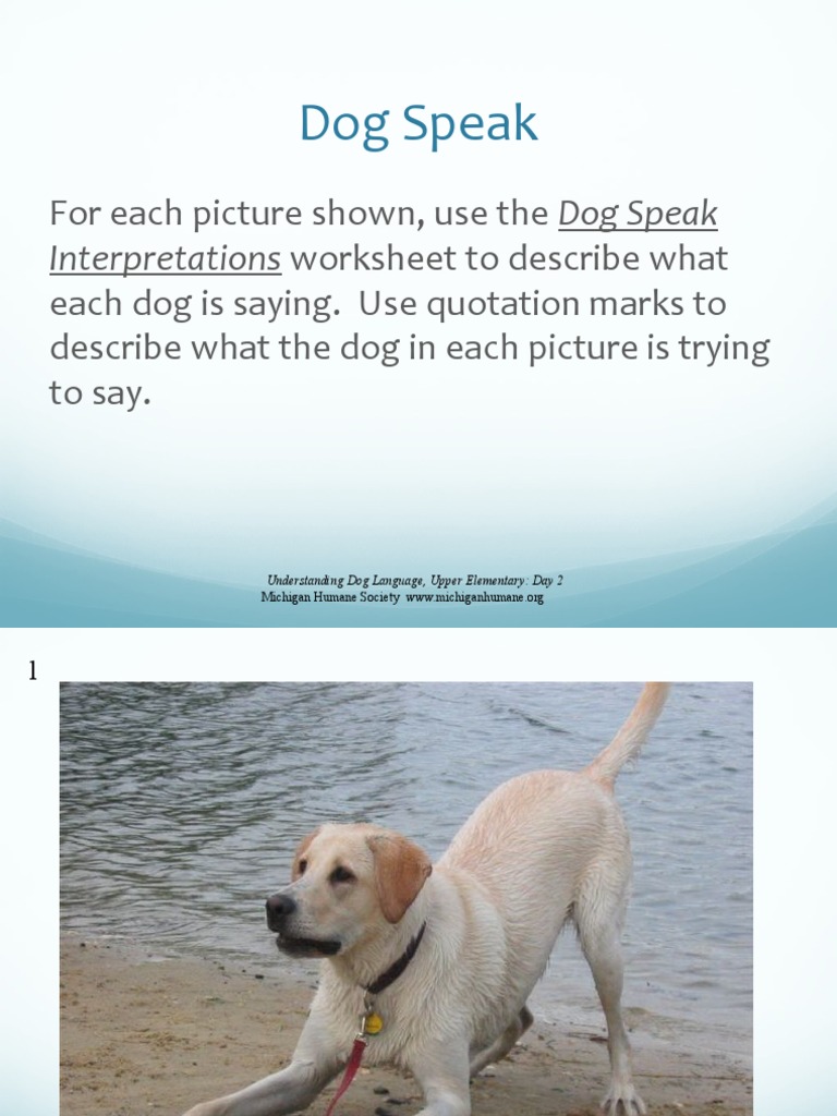 Dog Speak Slideshow | PDF | Dogs | Pet