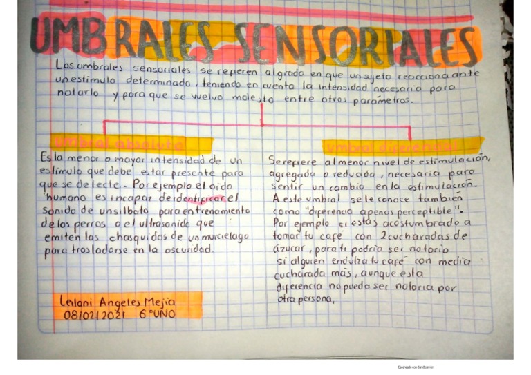 Mapa Conceptual de Los Umbrales Sensoriales | PDF