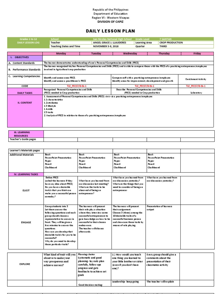 Tle - Lesson Plan 2 | PDF | Entrepreneurship | Leadership