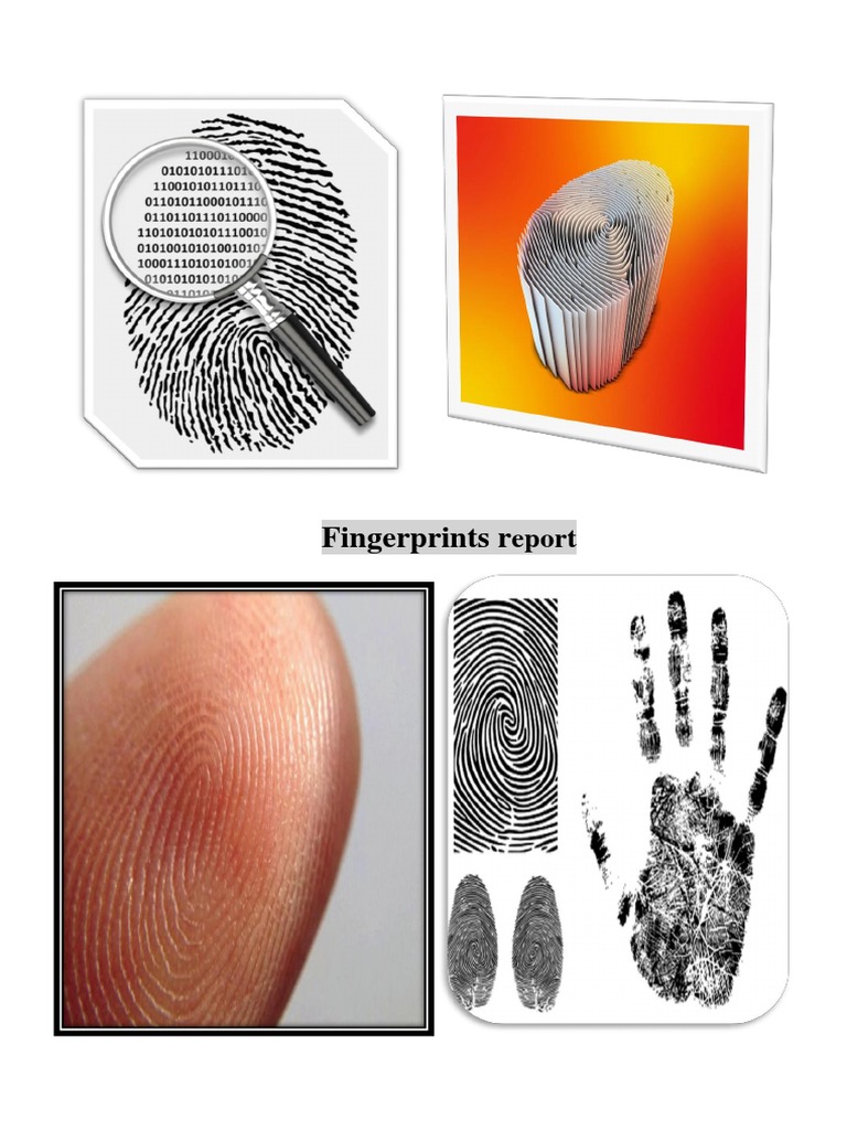 Fingerprints 3 | PDF | Fingerprint