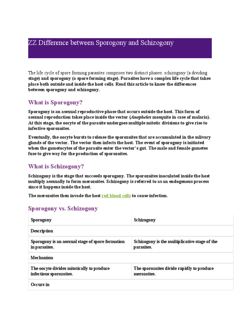 ZZ Difference Between Sporogony and Schizogony | Download Free PDF ...