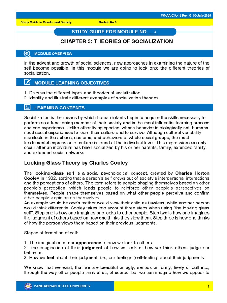 GEE2 Module 3 Theories of Socialization | PDF | Id | Socialization