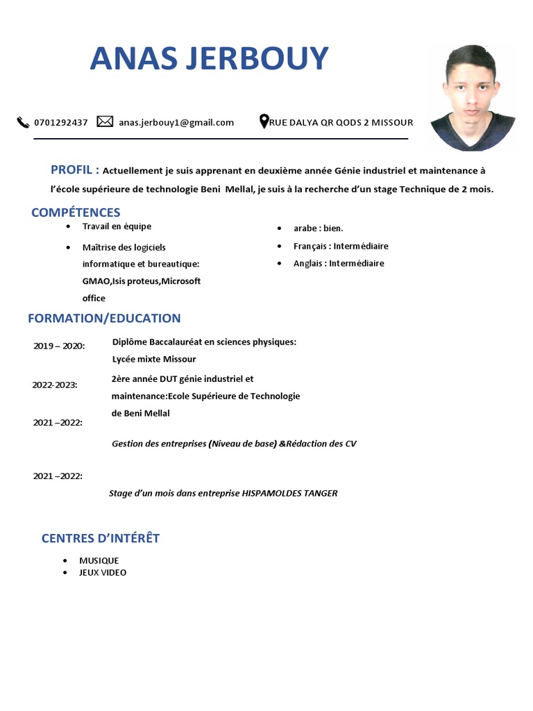 Anas CV | PDF