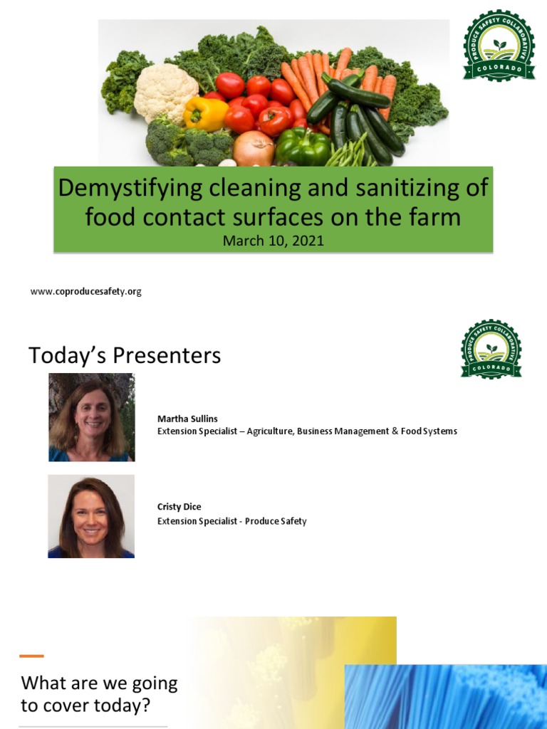 Cleaning and Sanitizing Food Surfaces | PDF | Disinfectant | Chemical ...
