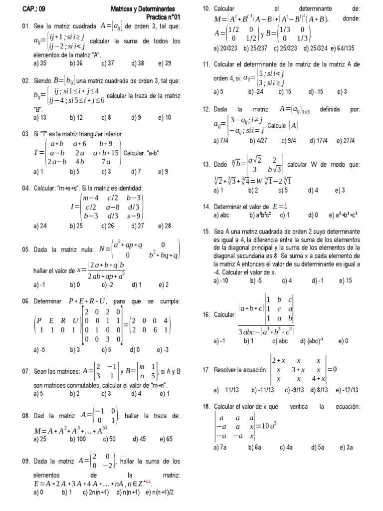 CAP.09 Matrices y Determinantes | PDF | Determinante | Matriz (Matemáticas)