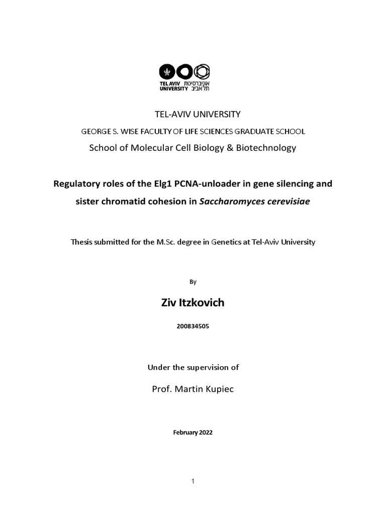 Ziv Itzkovich MSC Thesis | PDF | Histone | Dna Replication
