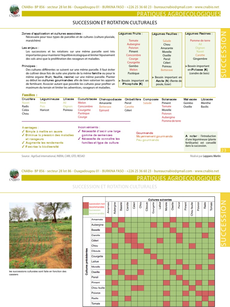 Succession et rotation des cultures | PDF | Légumes | Rotation culturale
