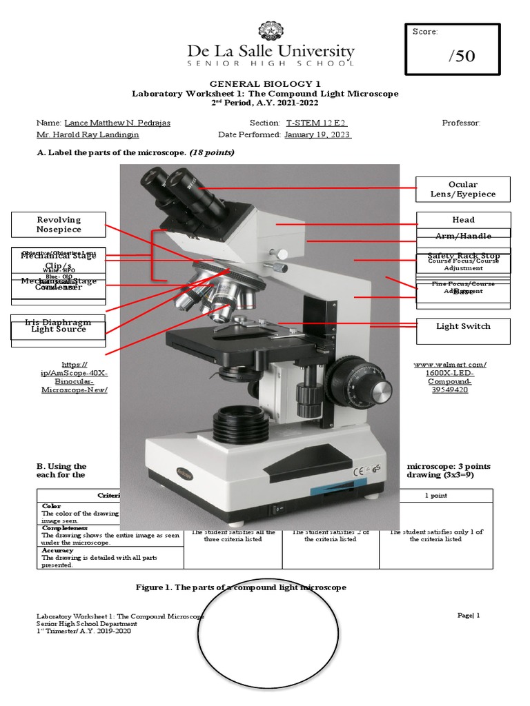 Act 1 Microscope (Answer Sheet) | PDF | Microscope | Materials Science