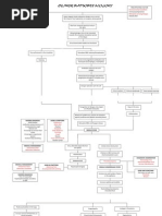 PATHOPHYSIOLOGY of Dengue Hemorrhagic Fever | PDF