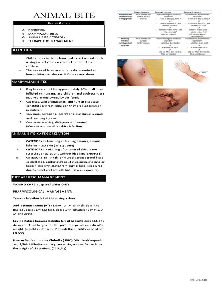 First Aid for Animal Bite Wounds | PDF | Wellness