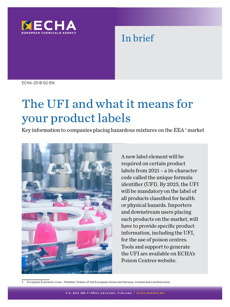 Ufi What It Means en | PDF | European Economic Area