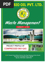 Bio-CNG and Bio-Fertilizer Project Report | PDF | Debt | Biogas