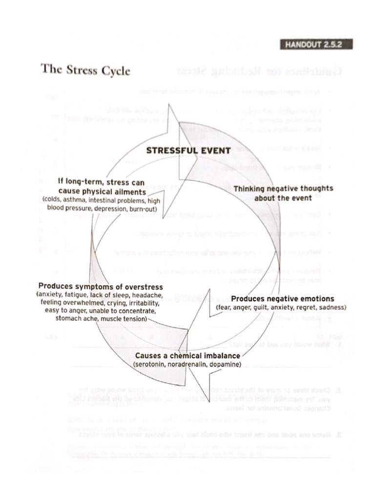 The Stress Cycle | PDF