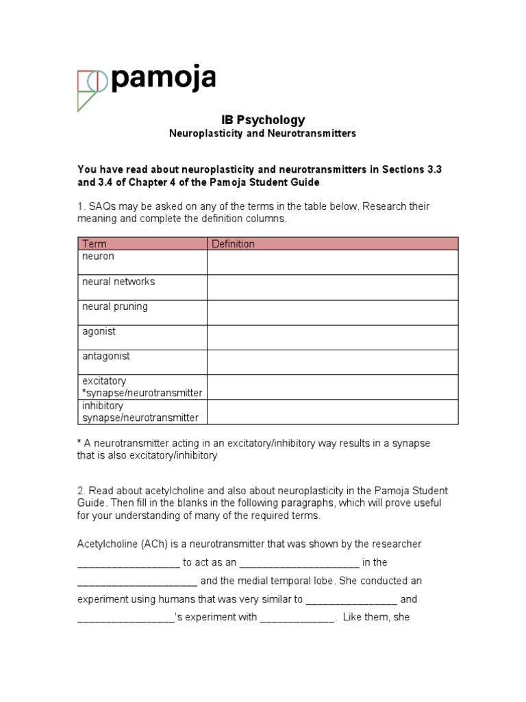 Bio Approach Neuroplasticity and Neurotransmitters Activity Worksheet | PDF