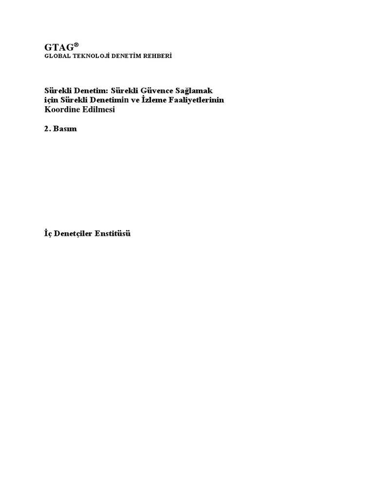 GTAG 3 Continuous-Auditing-Turkish | PDF