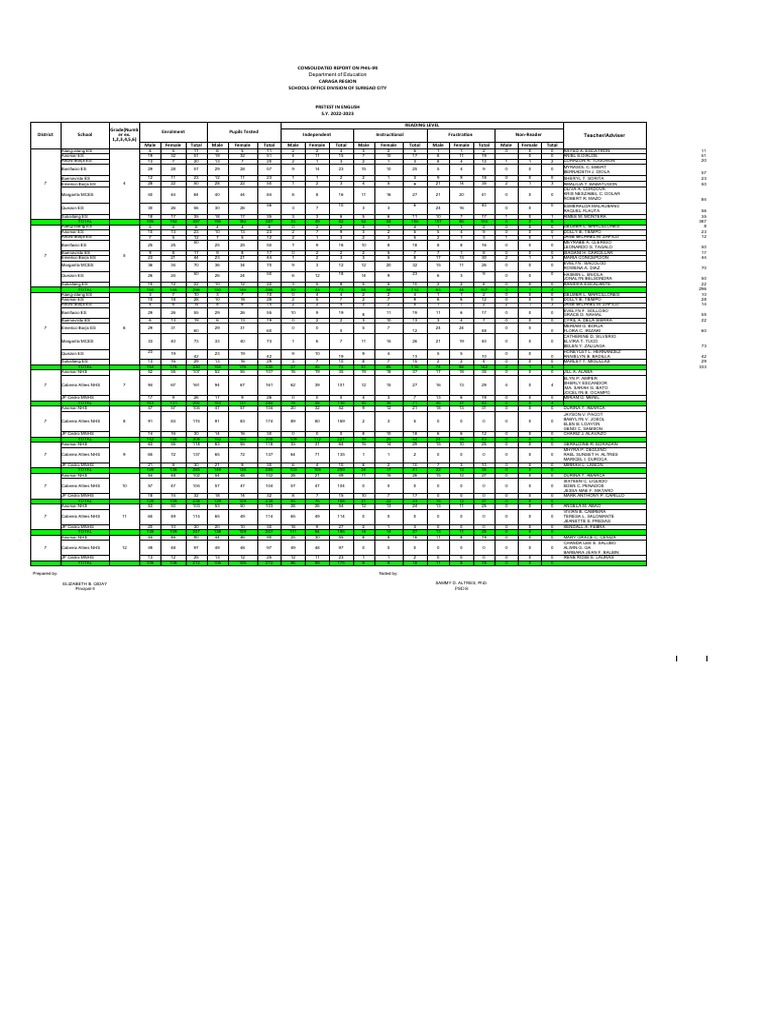 D7 - PHIL IRI FORMS ENGLISH Consolidated Report Final | PDF | Philippines