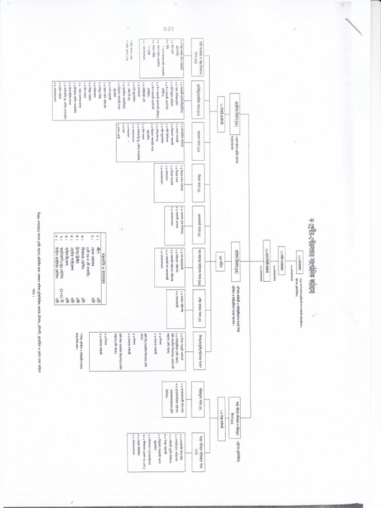 Organogram Pauro | PDF