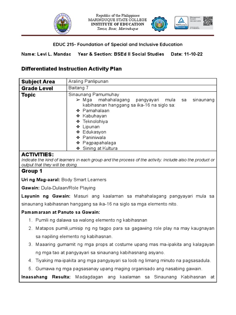 Differentiated Instruction Activity Plan | PDF