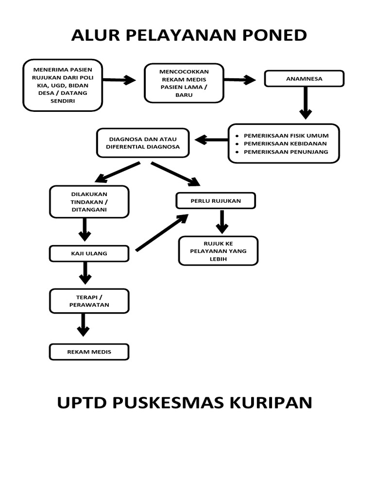 Alur Pelayanan Poned | PDF
