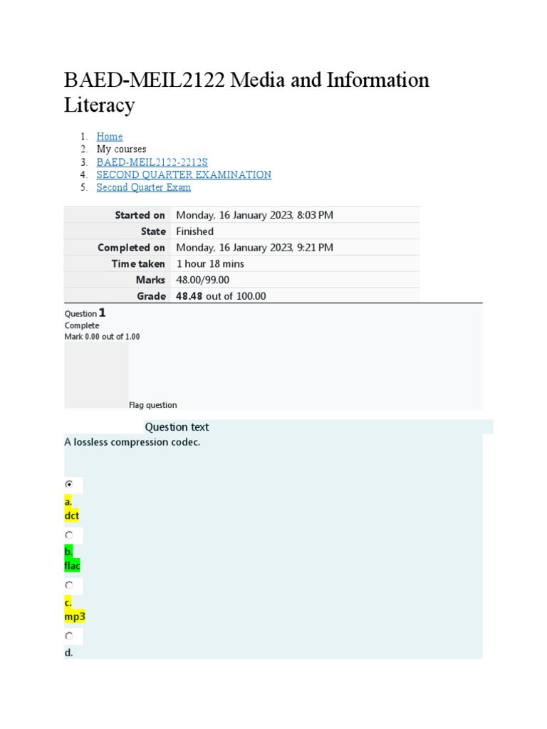 Media Literacy Exam Overview | PDF